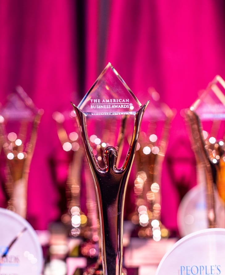 Founder’s Journey: How Michael Gallagher Built the Stevie Awards 20 ...