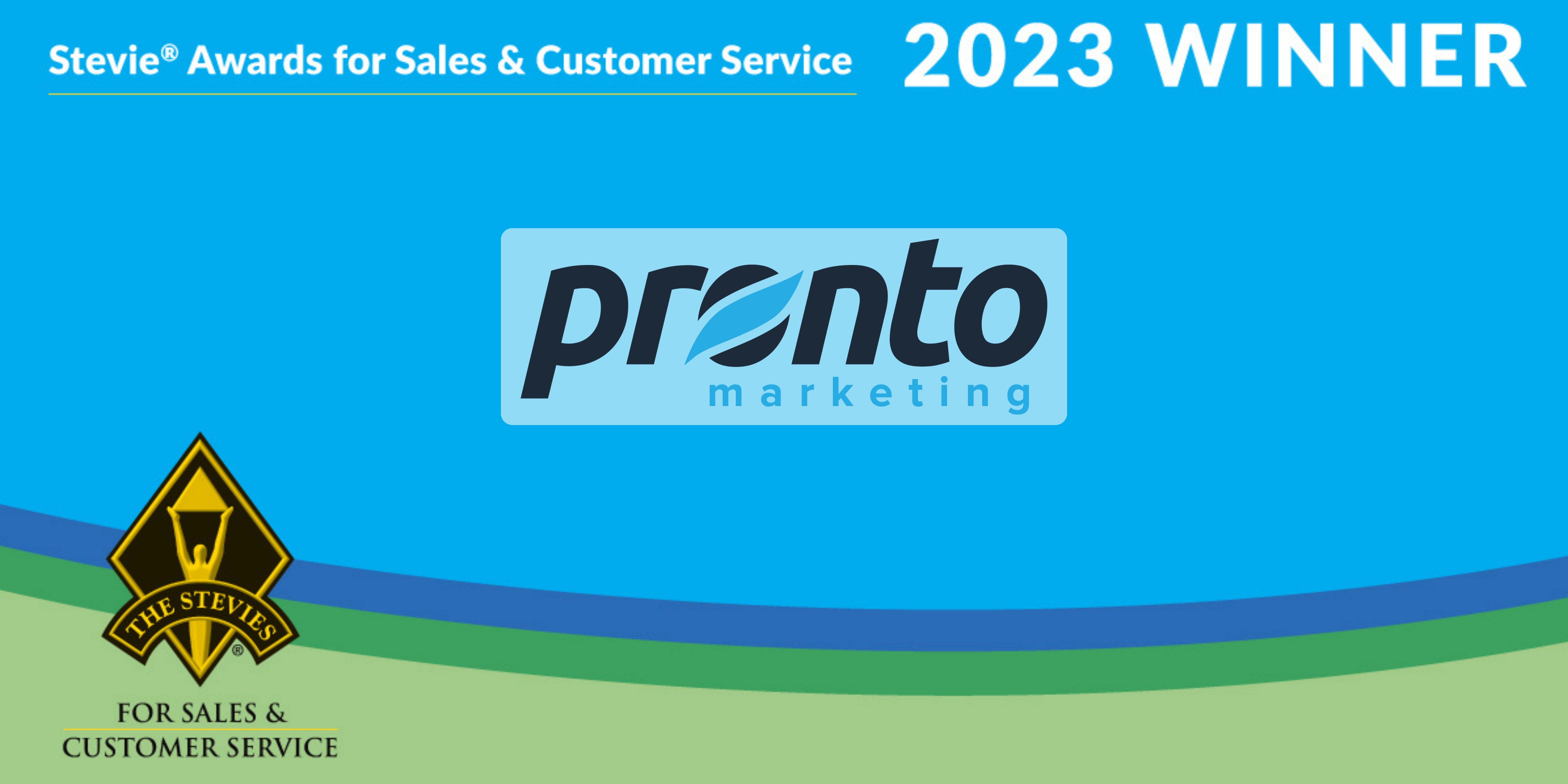 Pronto Marketing: Accelerating Online Success for Ambitious Businesses
